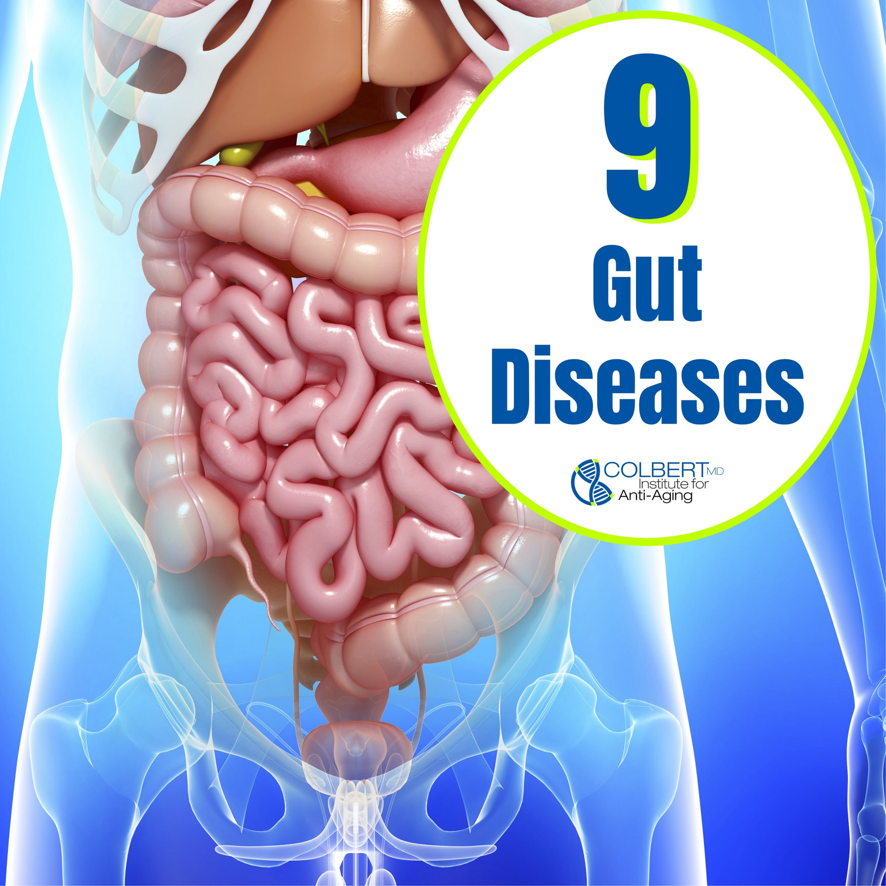 9 Gut Diseases Gut Zone - Colbert Institute of Anti Aging